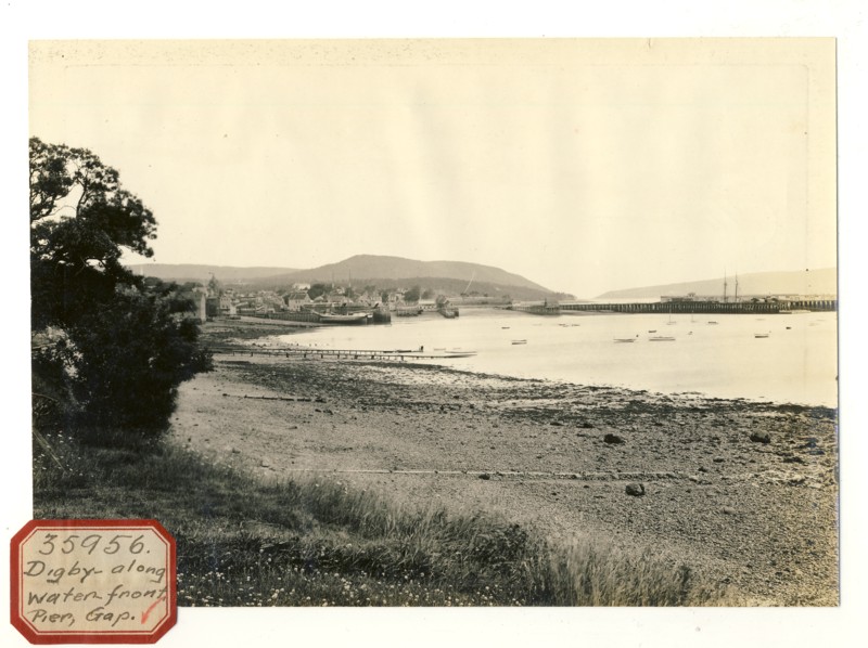 Category: Digby County, N.S.